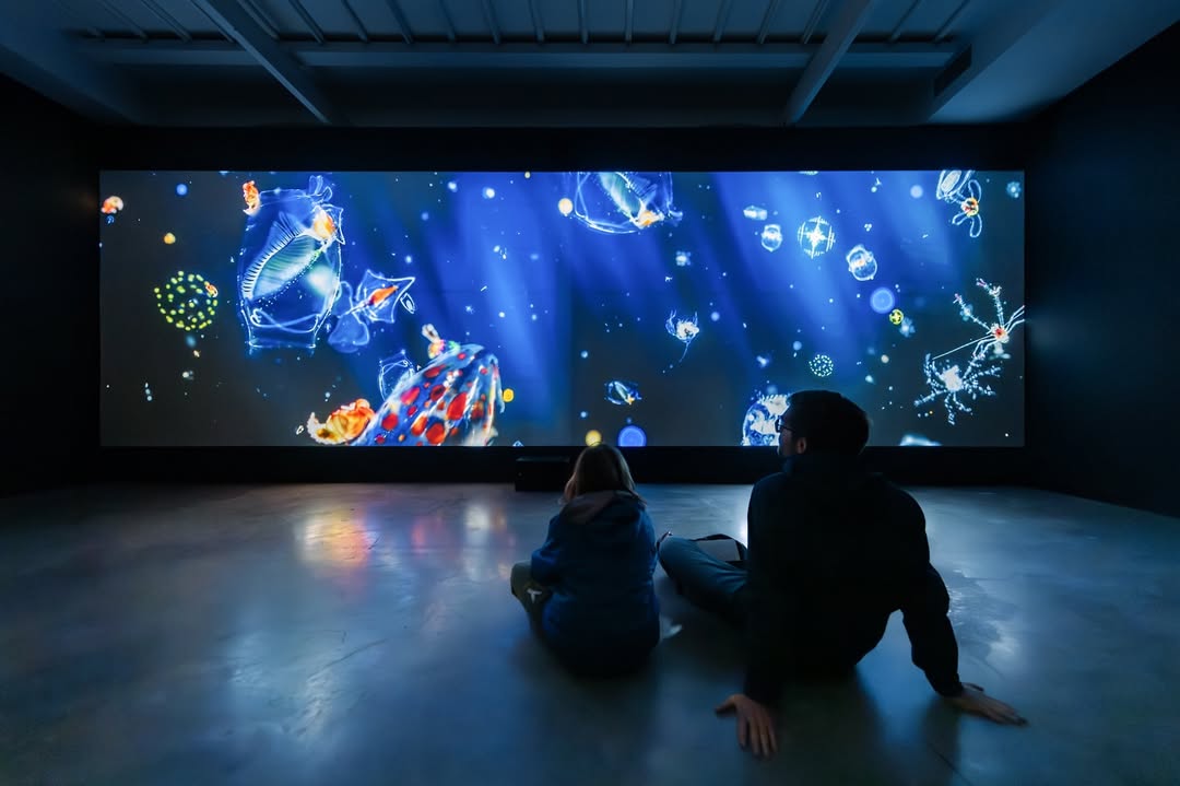 “Tara”, art and science to decipher the ocean | The Eyes
