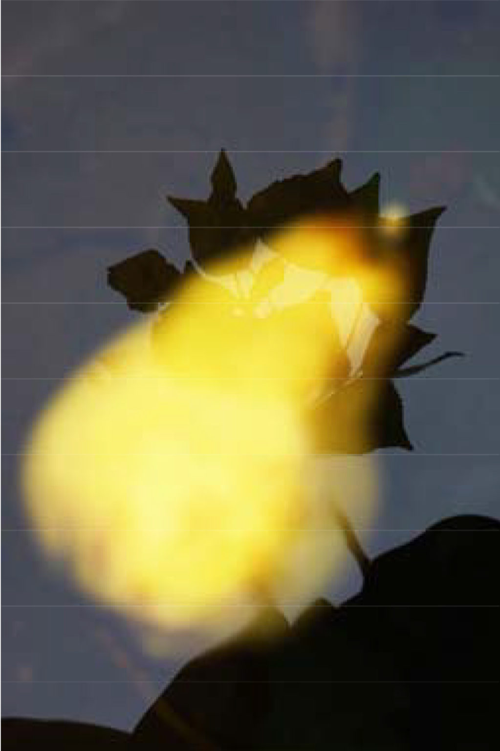 Artist Talk and breakfast with Jessica Backhaus | The Eyes